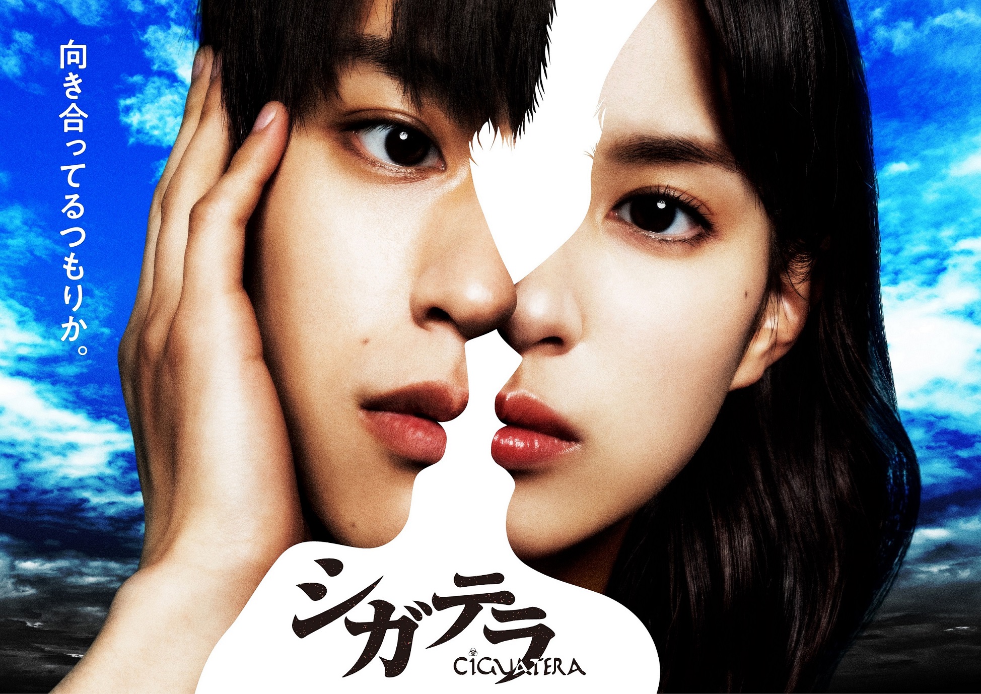 最新情報 | 【ドラマ24】シガテラ | テレビ東京・BSテレ東 7ch(公式)